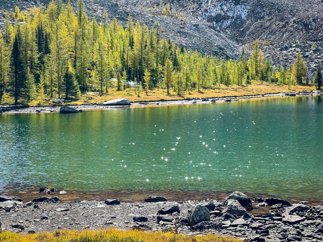 Lake O'Hara Hiking Trails - A Complete Guide - Travel Banff Canada