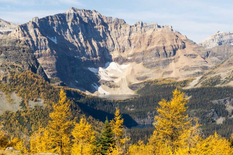 Healy Pass Trail in Banff National Park - Travel Banff Canada