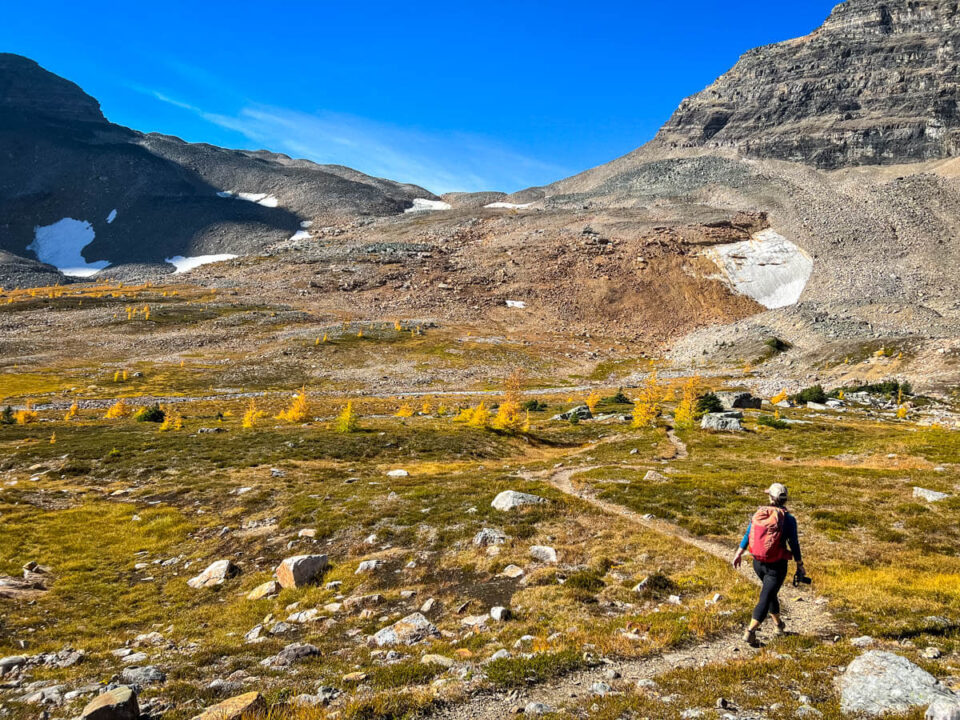 17 INCREDIBLE Larch Hikes in Banff National Park for 2025 - Travel ...