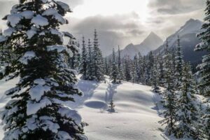 Home - Travel Banff Canada