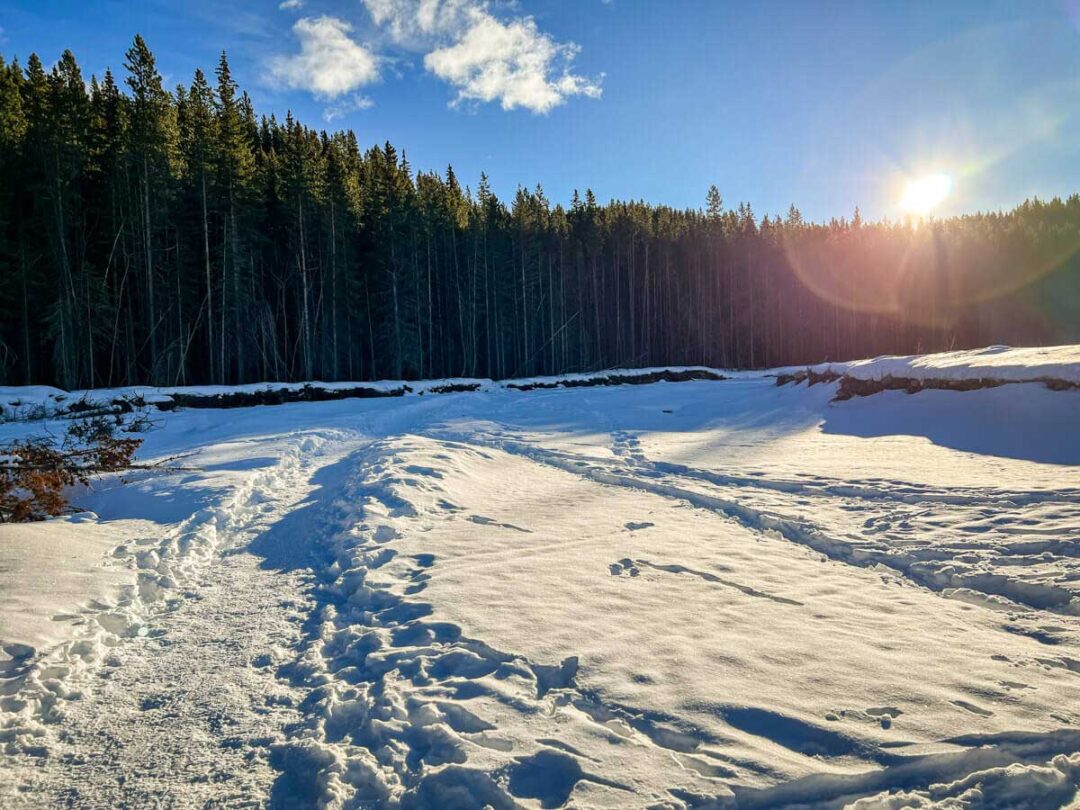 Green Monster Winter Hike - Kananaskis Country - Travel Banff Canada