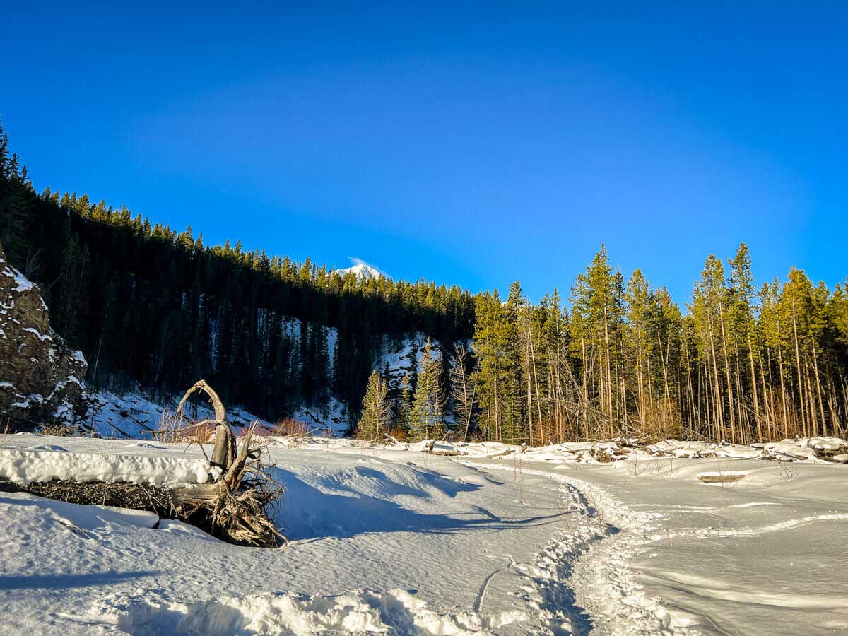 Green Monster Winter Hike - Kananaskis Country - Travel Banff Canada