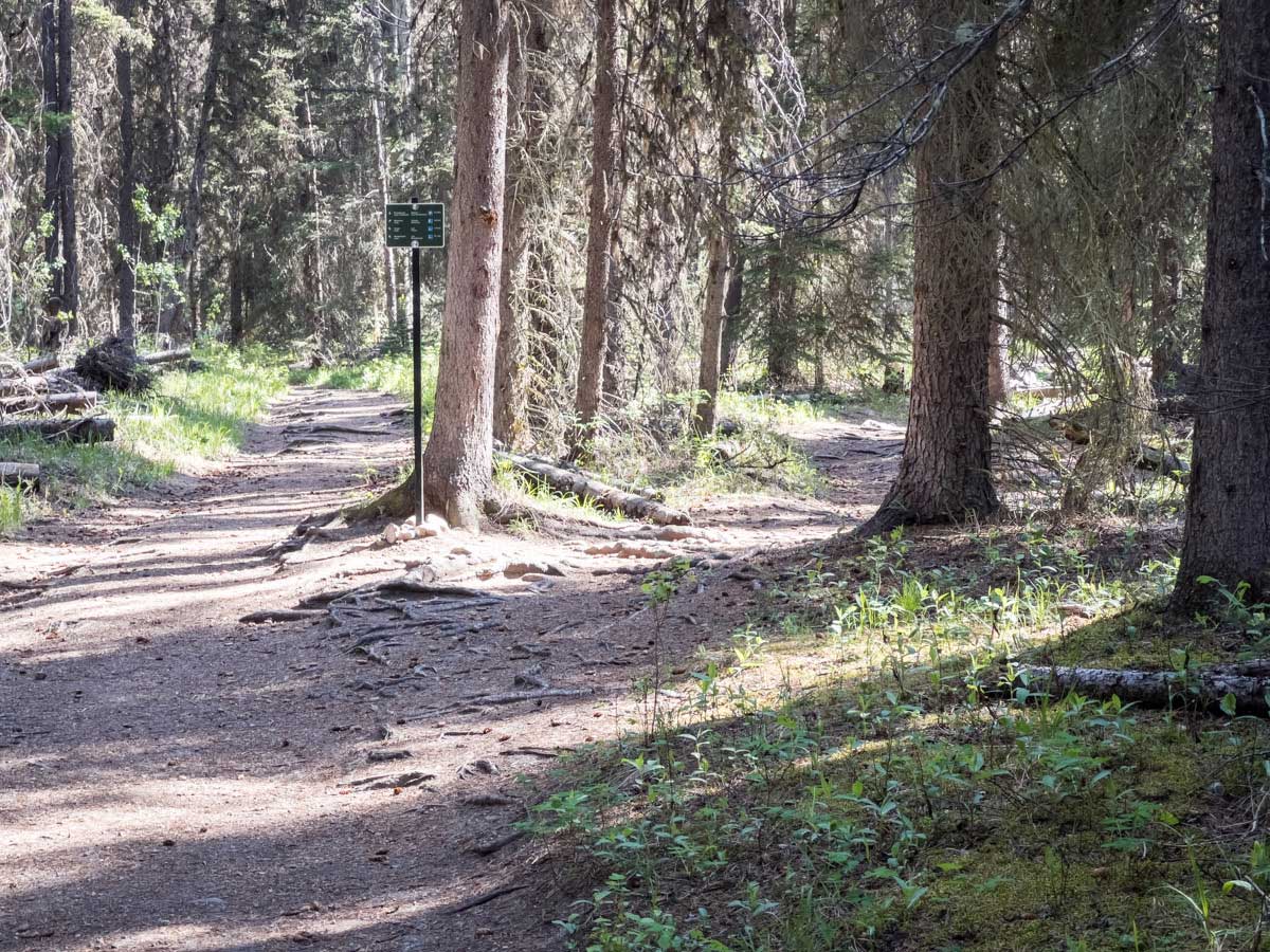 Silverton Falls Hike - Banff National Park - Travel Banff Canada
