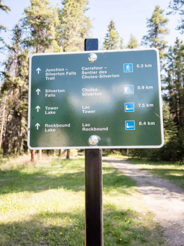 Silverton Falls Hike - Banff National Park - Travel Banff Canada