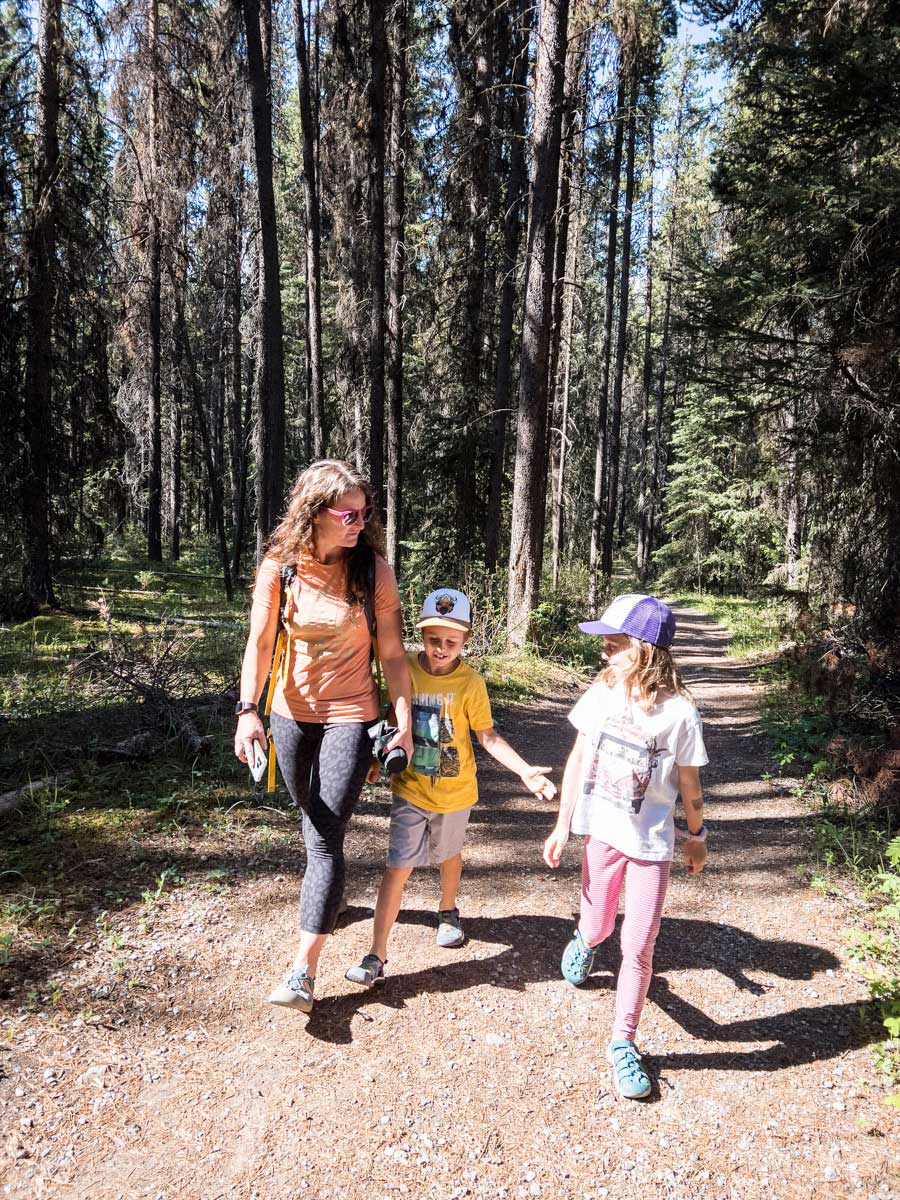 Silverton Falls Hike - Banff National Park - Travel Banff Canada