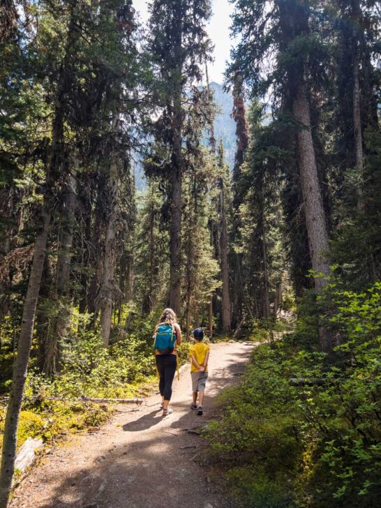 Fairview Lookout Hike - Travel Banff Canada