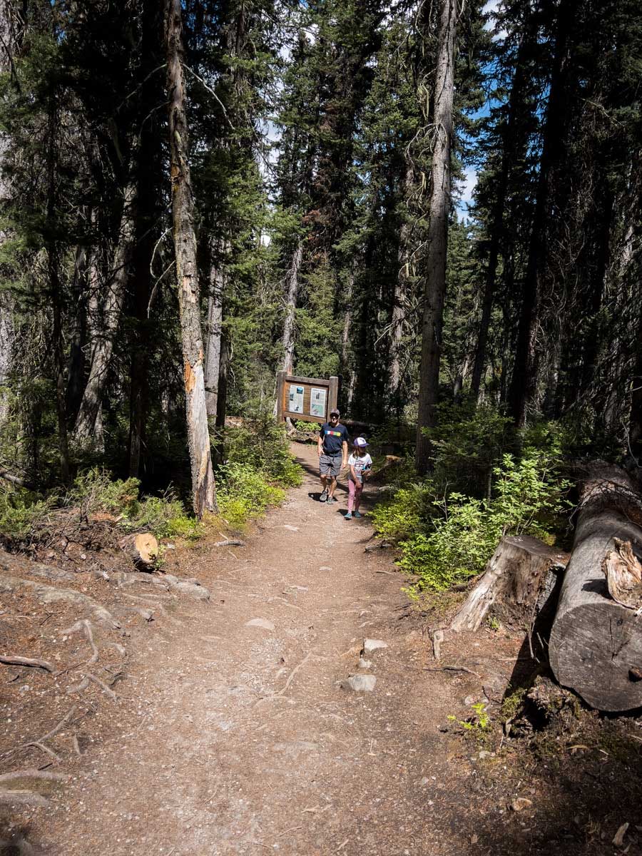 Fairview Lookout Hike - Travel Banff Canada