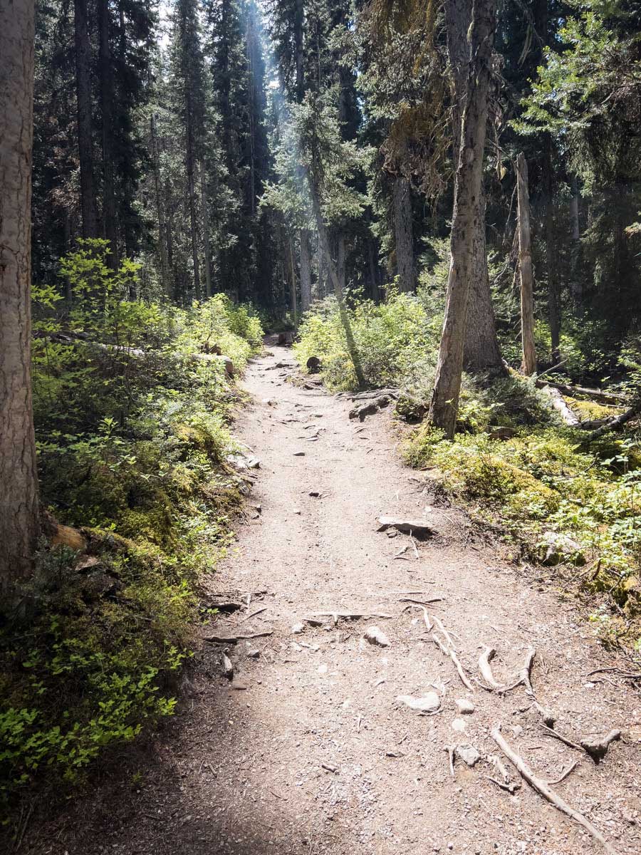 Fairview Lookout Hike - Travel Banff Canada