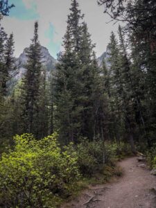 Fairview Lookout Hike - Travel Banff Canada