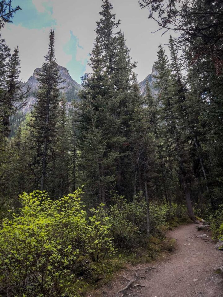 Fairview Lookout Hike - Travel Banff Canada