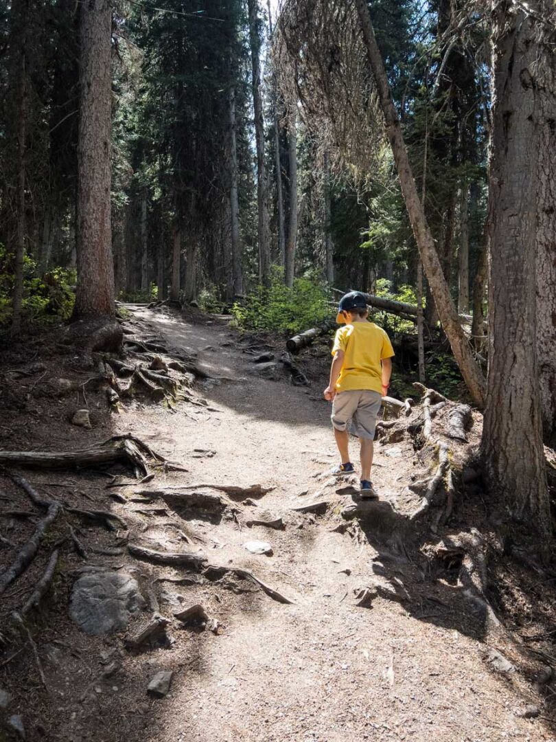 Fairview Lookout Hike - Travel Banff Canada