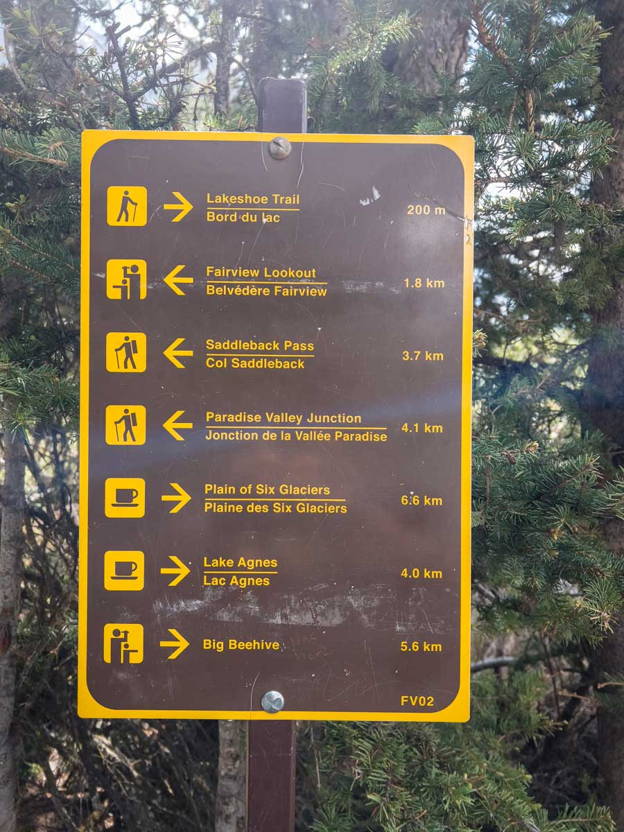 Fairview Lookout Hike - Travel Banff Canada