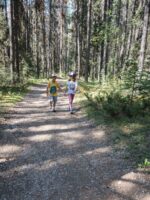 Silverton Falls Hike - Banff National Park - Travel Banff Canada