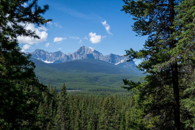 Silverton Falls Hike - Banff National Park - Travel Banff Canada