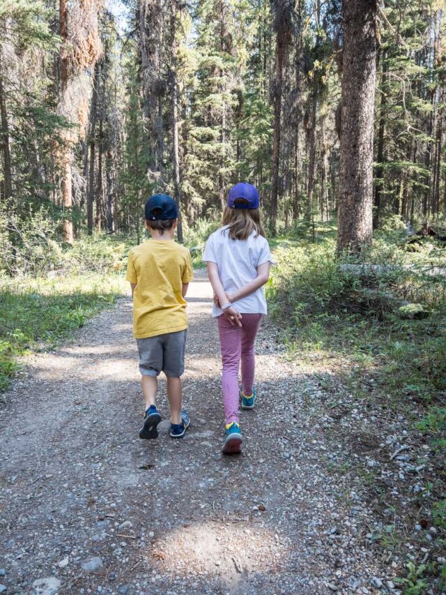 Silverton Falls Hike - Banff National Park - Travel Banff Canada