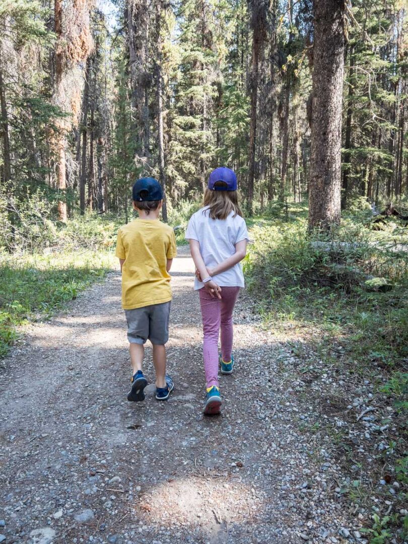 Silverton Falls Hike - Banff National Park - Travel Banff Canada