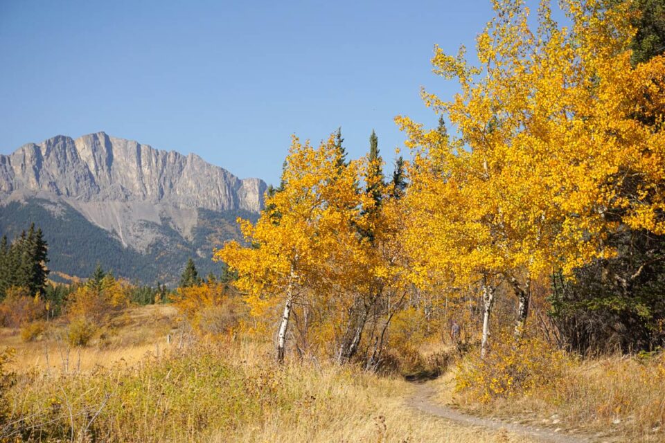 Visiting Banff in September: What You NEED to Know - Travel Banff Canada