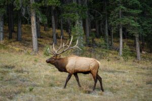 Visiting Banff in October: What You NEED To Know - Travel Banff Canada