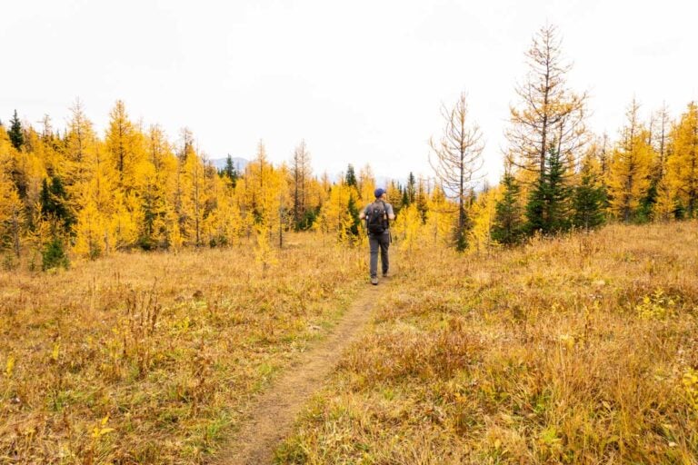 Visiting Banff in October: What You NEED To Know - Travel Banff Canada