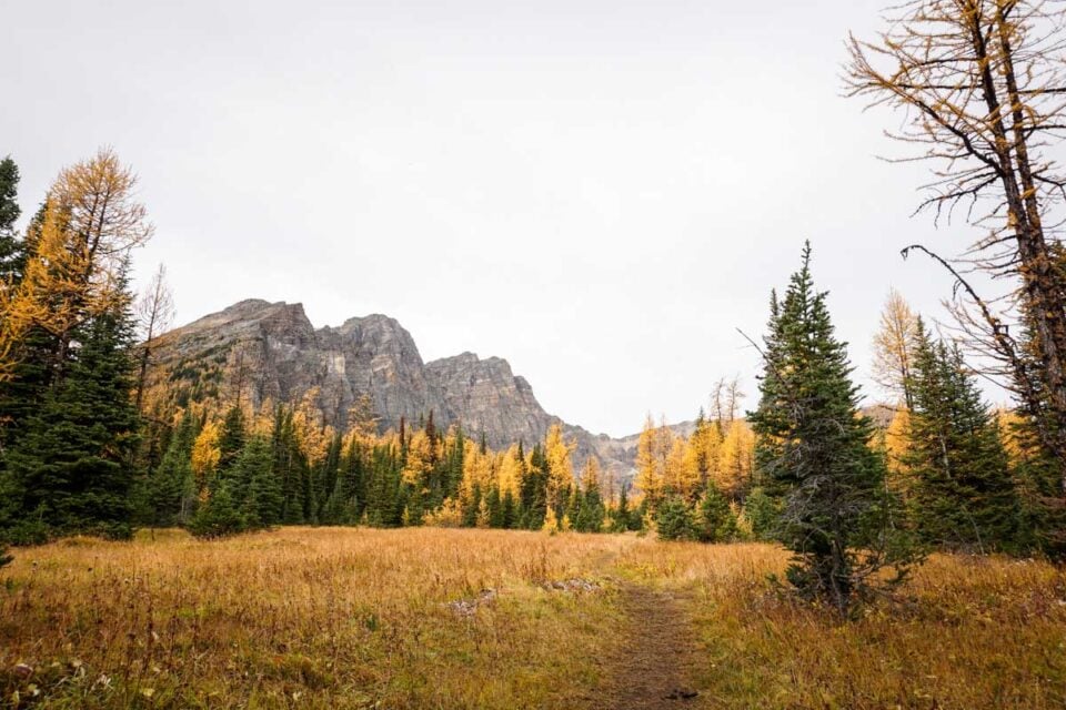 Visiting Banff in October: What You NEED To Know - Travel Banff Canada