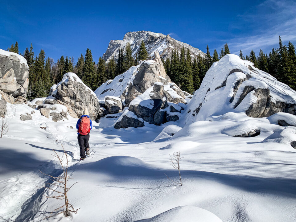 Visiting Banff in November: Everything You Need to Know - Travel Banff ...