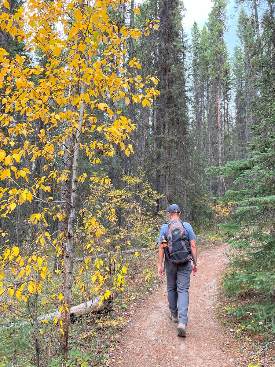 Rockbound Lake Hike - Travel Banff Canada