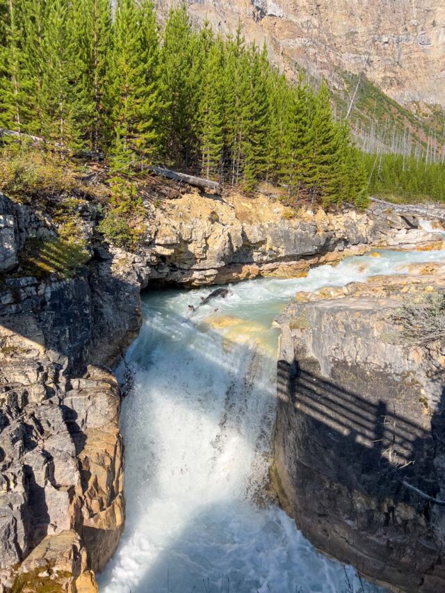 Marble Canyon - Kootenay National Park - Travel Banff Canada