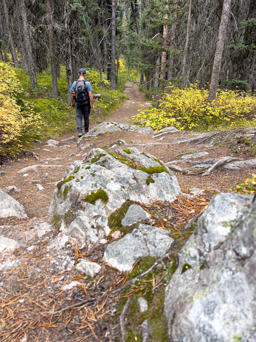Rockbound Lake Hike - Travel Banff Canada