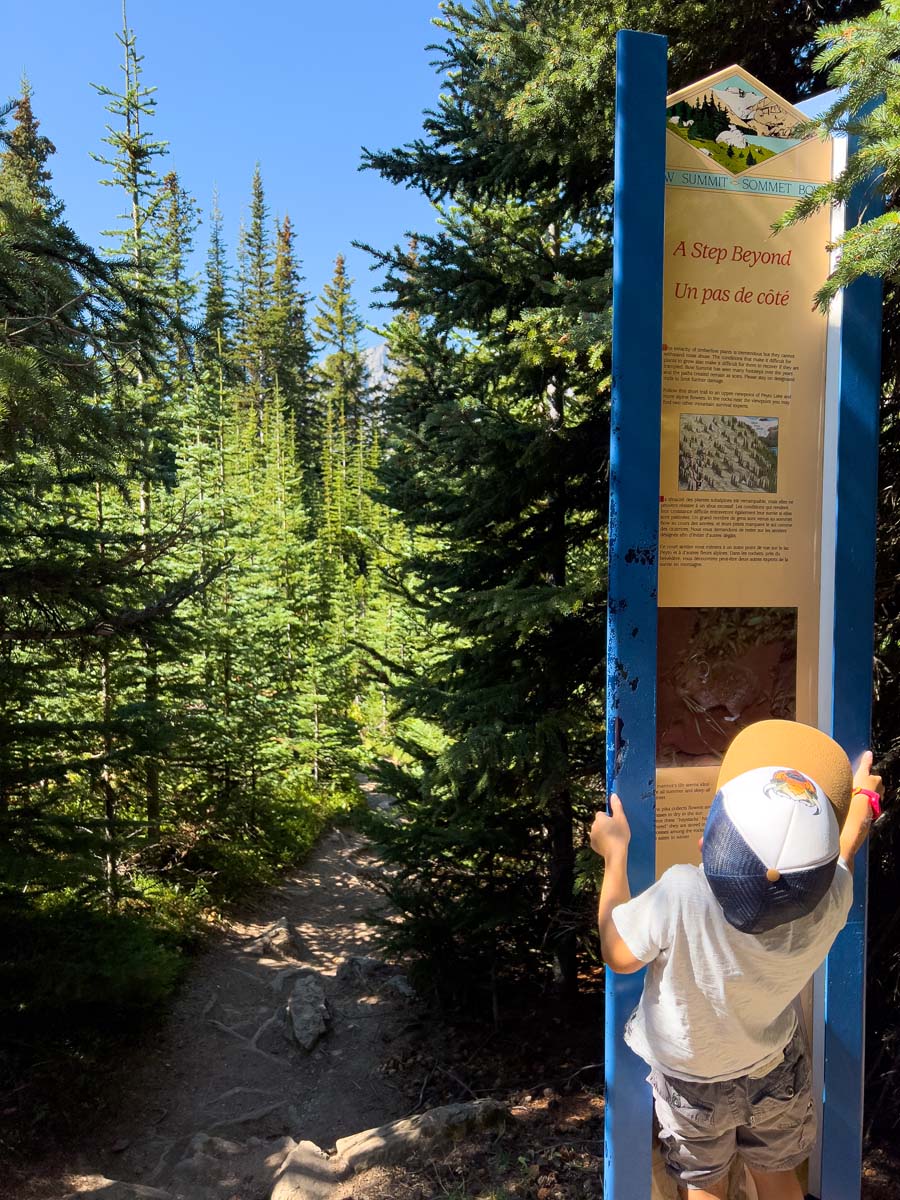 Bow Summit Trail - Travel Banff Canada