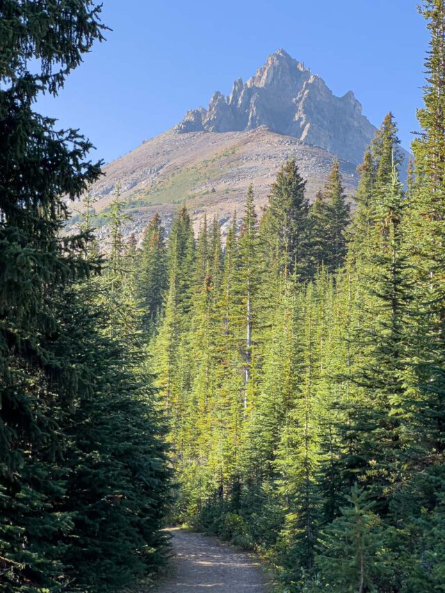Bow Summit Trail - Travel Banff Canada