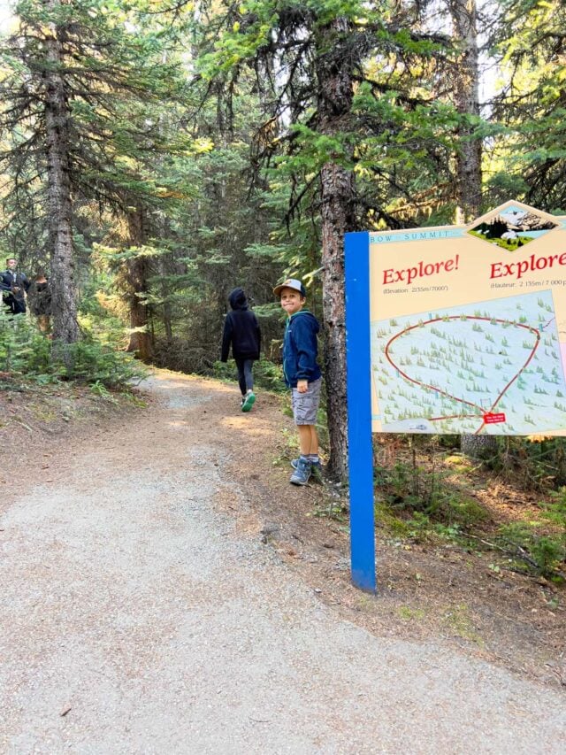 Bow Summit Trail - Travel Banff Canada