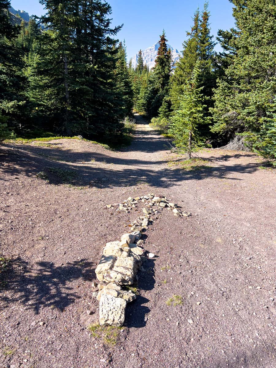 Bow Summit Trail - Travel Banff Canada