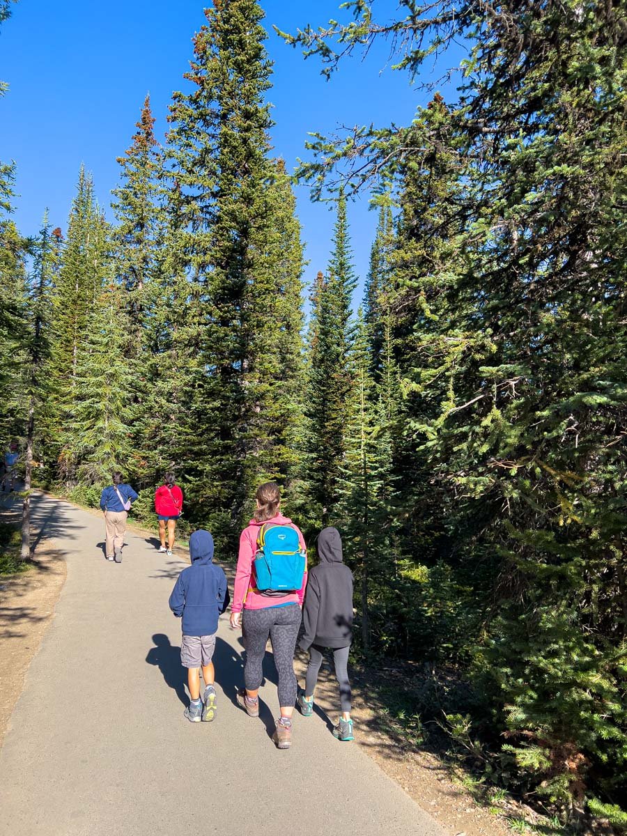 Bow Summit Trail - Travel Banff Canada