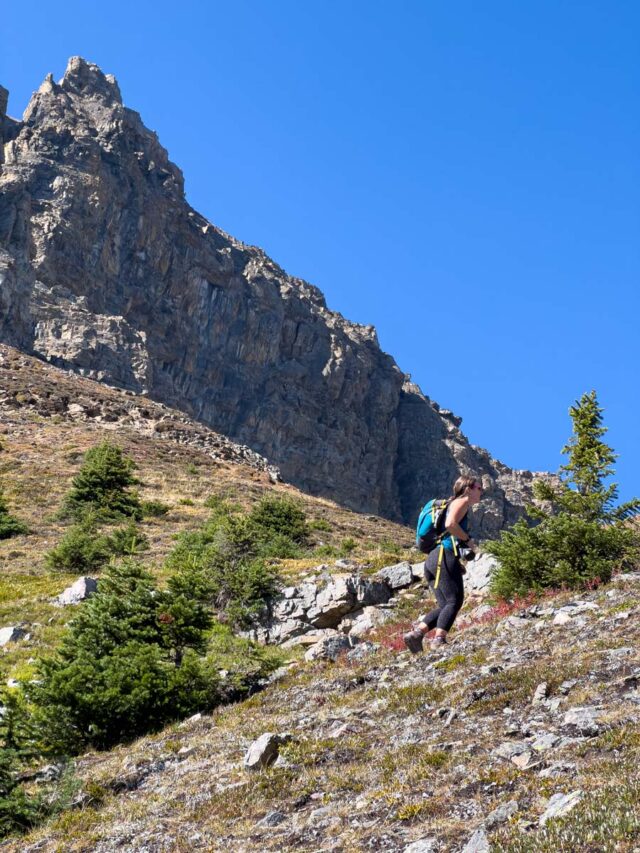 Bow Summit Trail - Travel Banff Canada