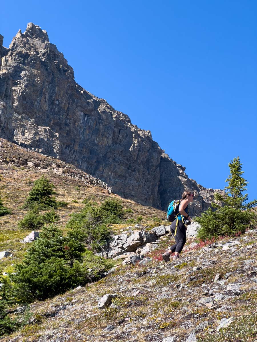 Bow Summit Trail - Travel Banff Canada