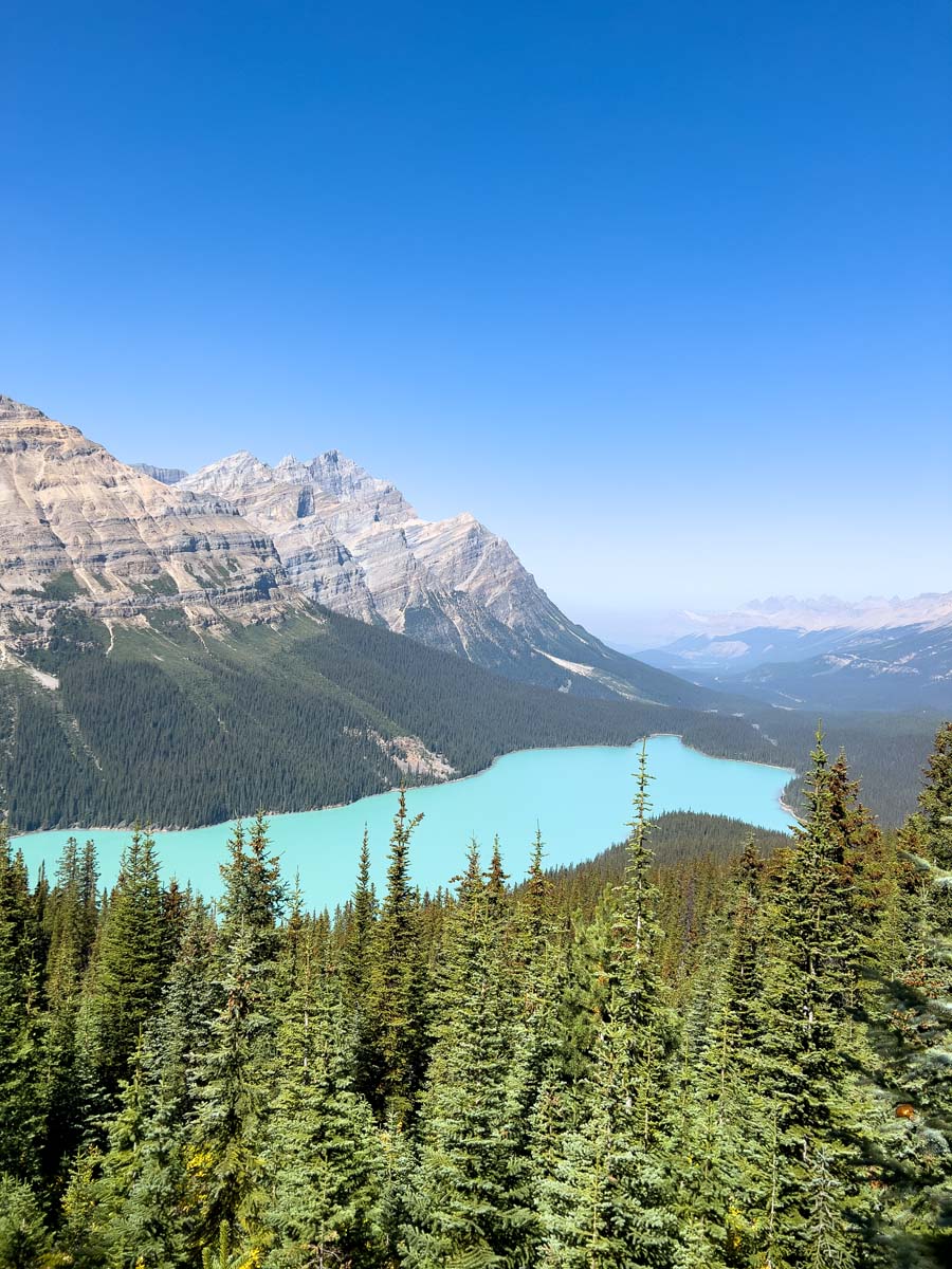 Bow Summit Trail - Travel Banff Canada