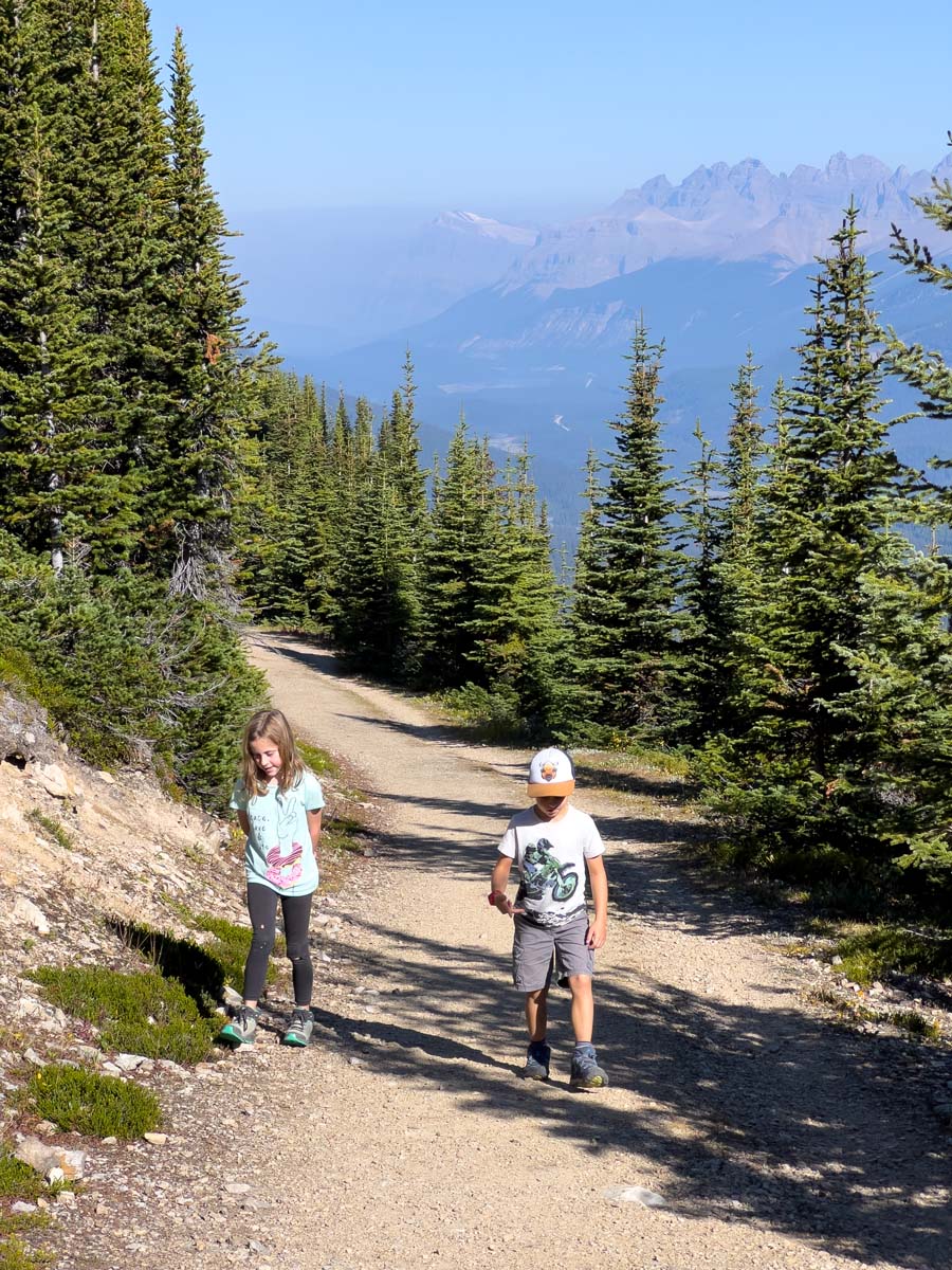 Bow Summit Trail - Travel Banff Canada