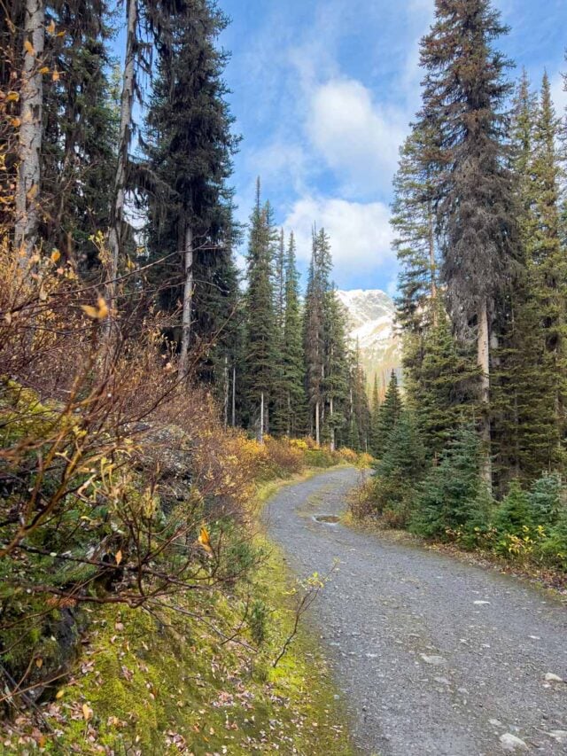 Burstall Pass Trail - Travel Banff Canada