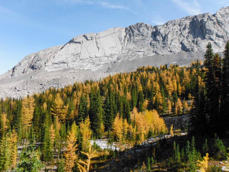 Burstall Pass Trail - Travel Banff Canada