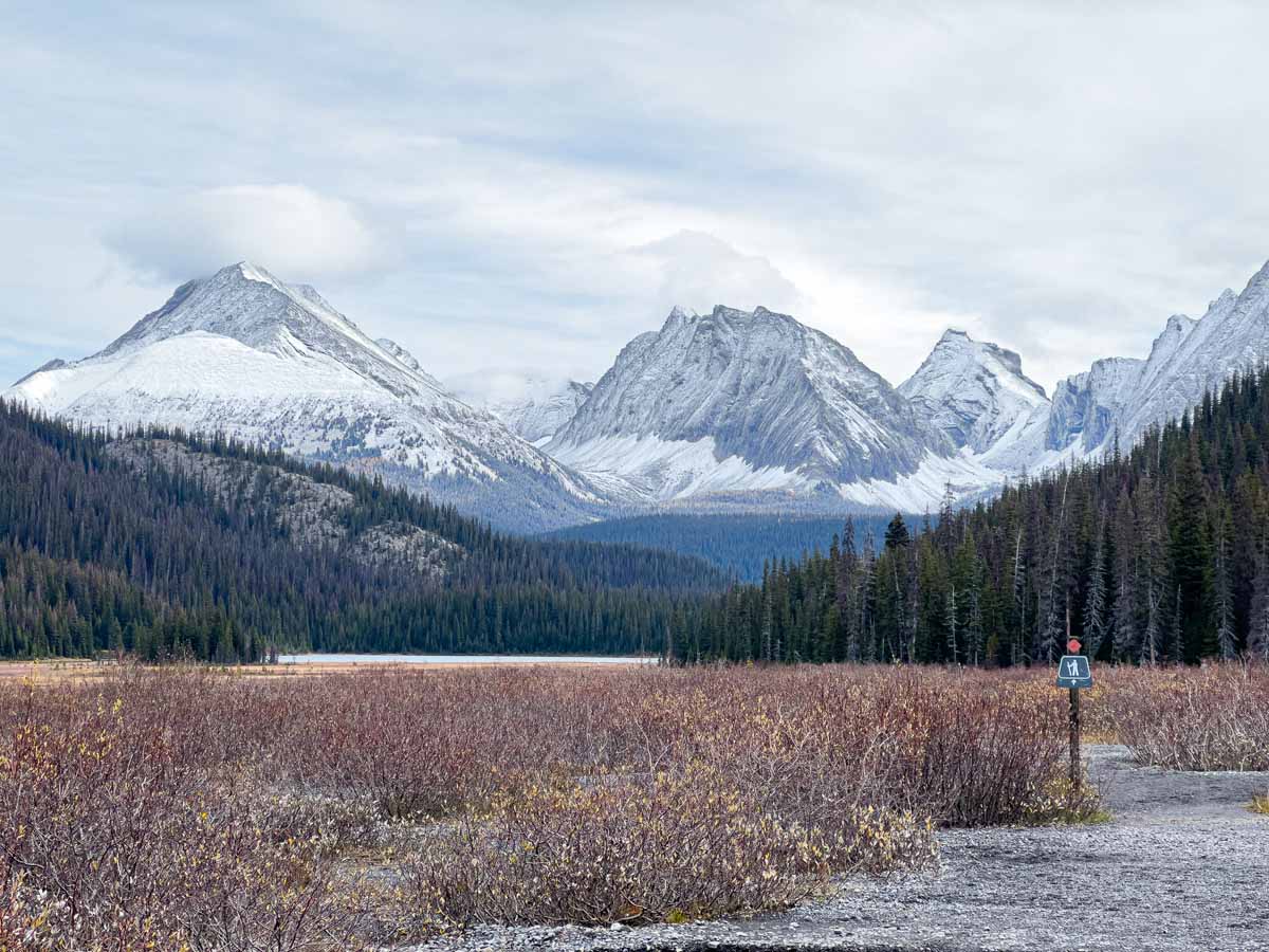 Burstall Pass Trail - Travel Banff Canada