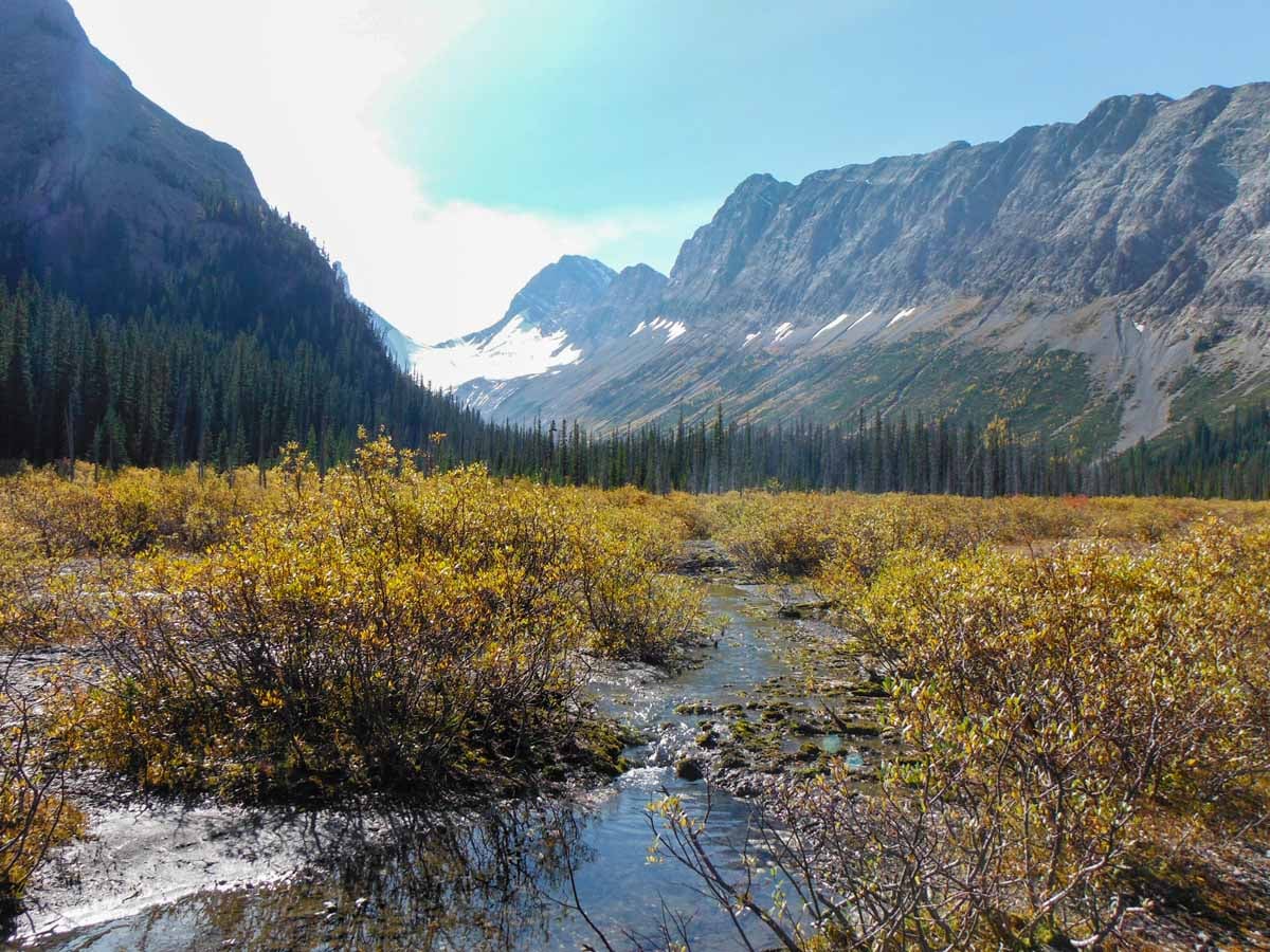 Burstall Pass Trail - Travel Banff Canada