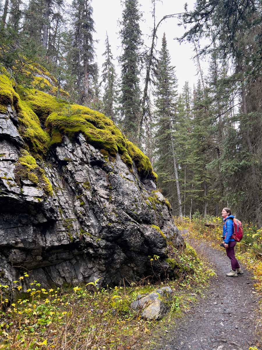 Burstall Pass Trail - Travel Banff Canada