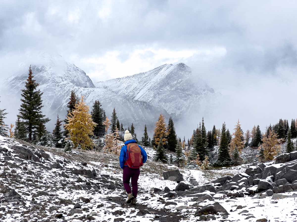 Burstall Pass Trail - Travel Banff Canada