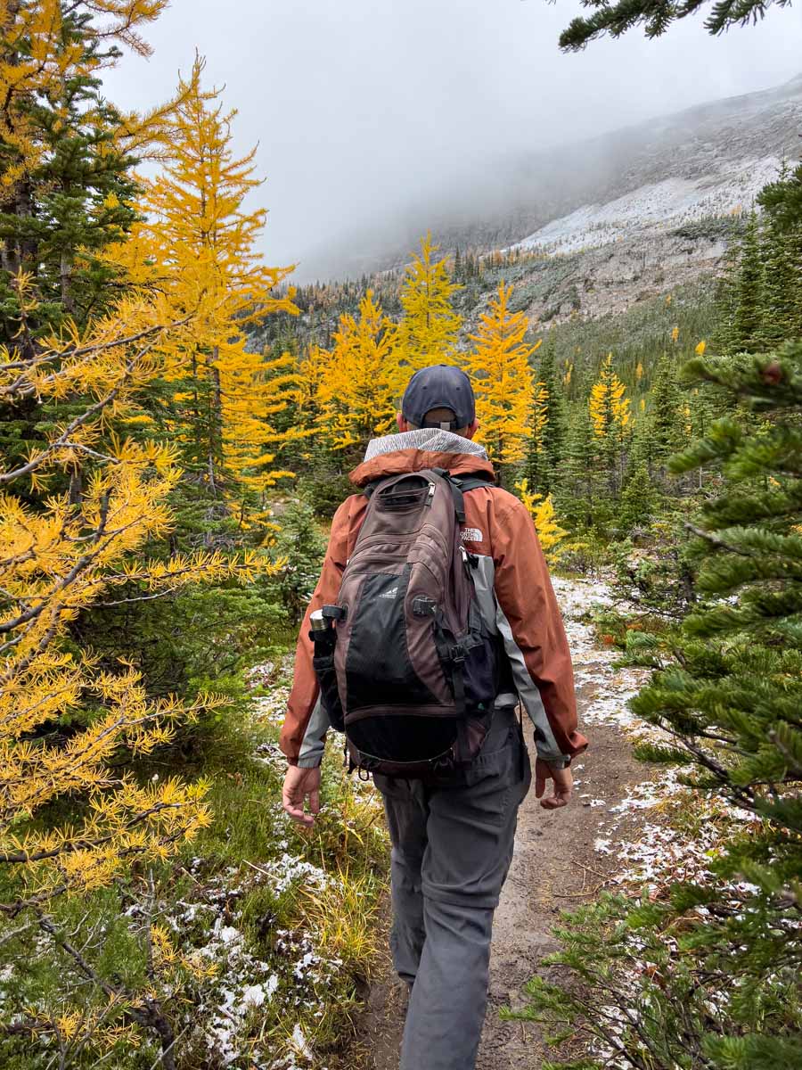 Burstall Pass Trail - Travel Banff Canada