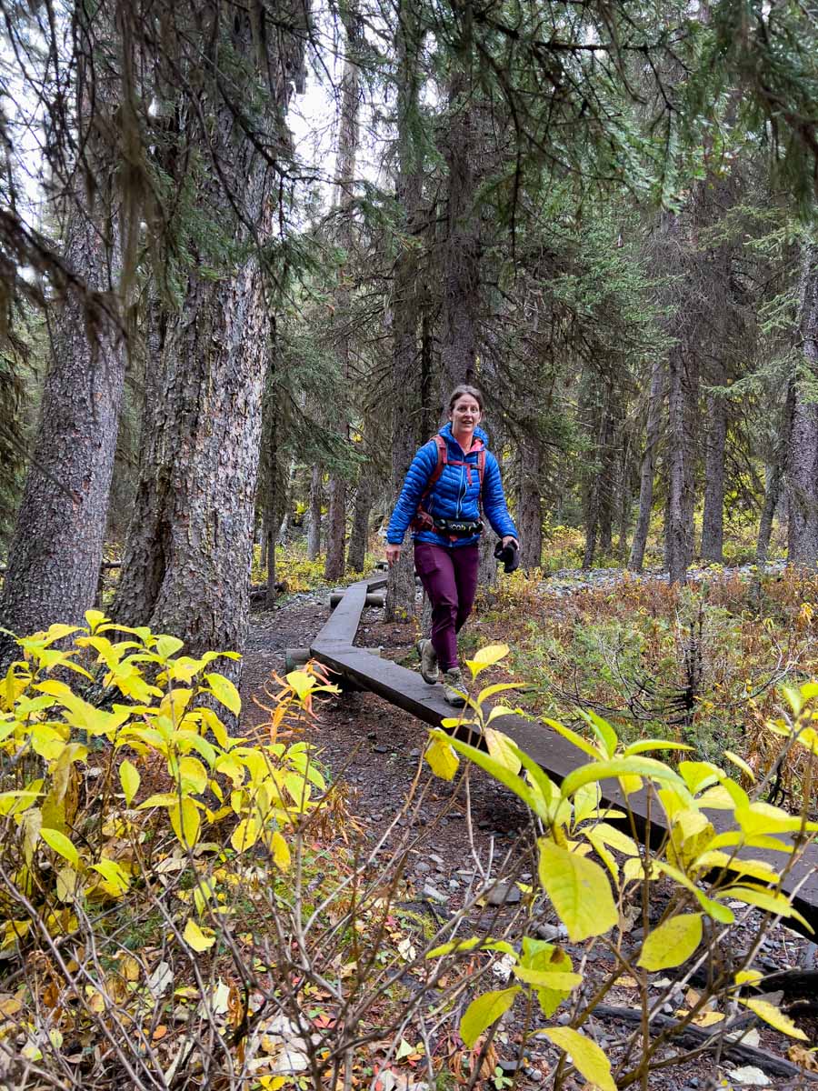 Burstall Pass Trail - Travel Banff Canada