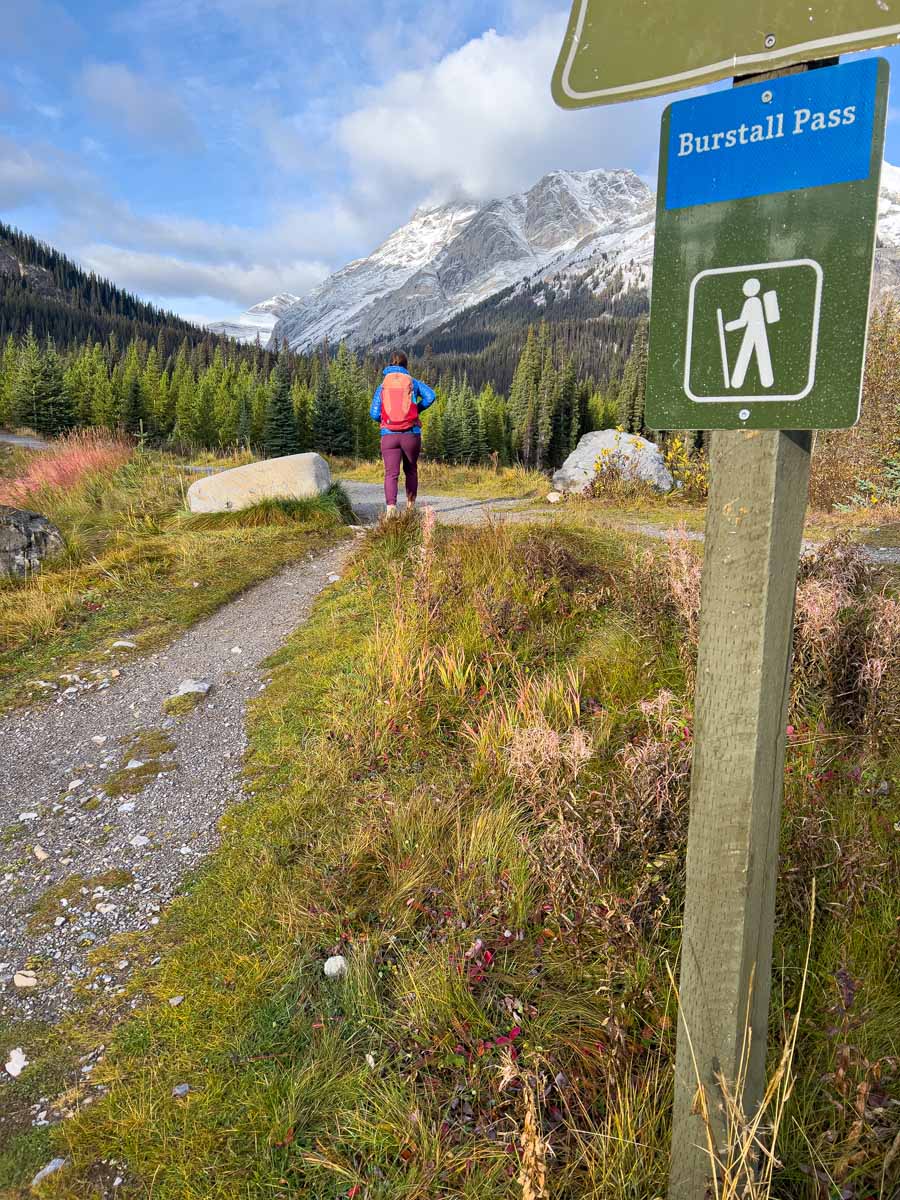 Burstall Pass Trail - Travel Banff Canada