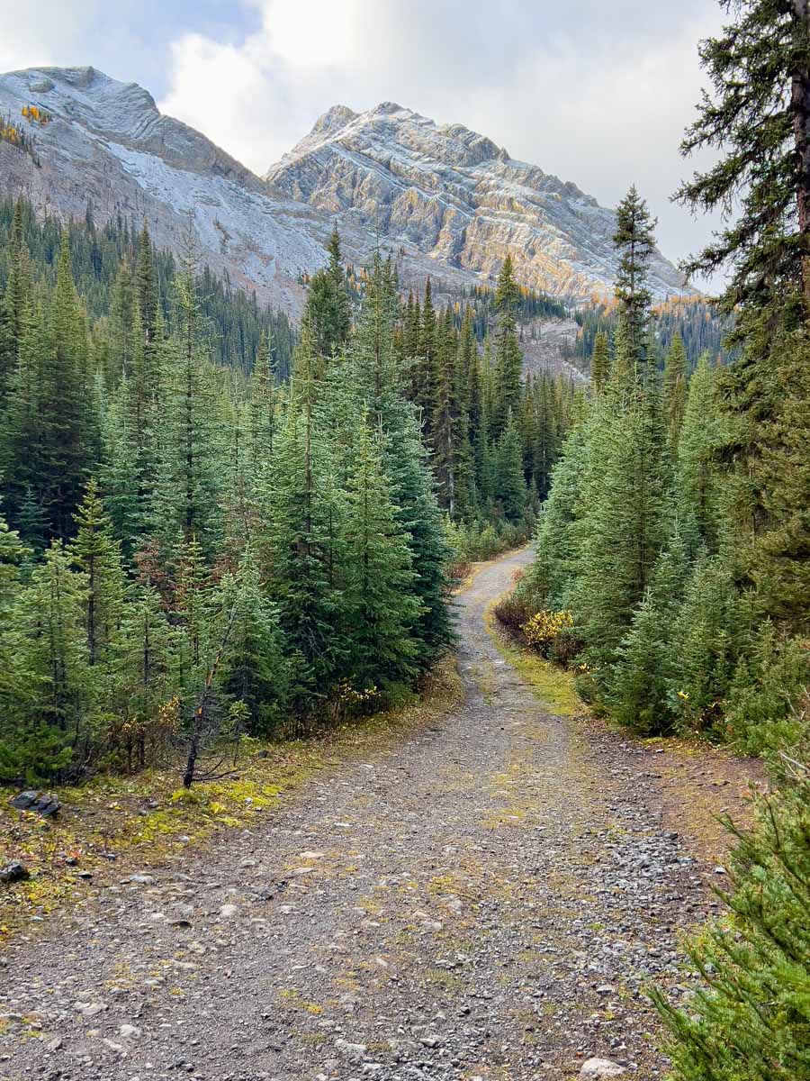 Burstall Pass Trail - Travel Banff Canada