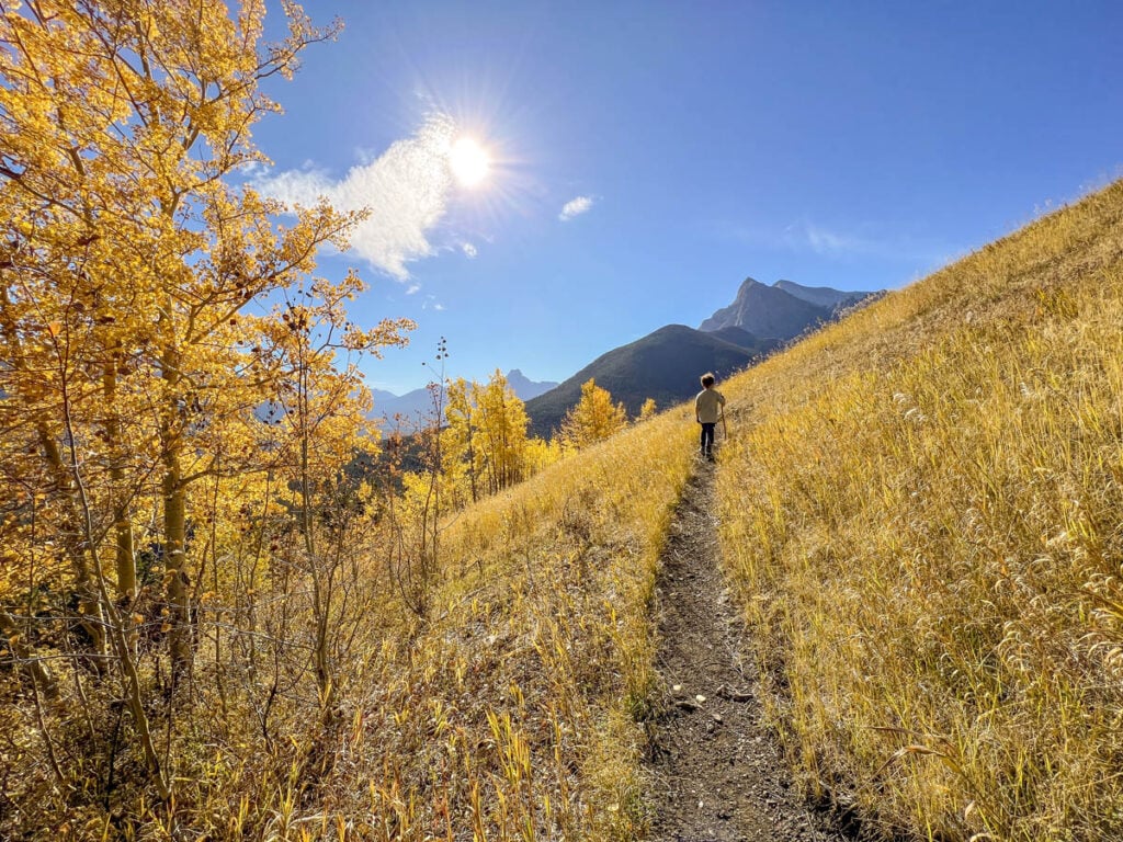 15 Kananaskis Fall Hikes (That Aren't Larch Hikes) - Travel Banff Canada