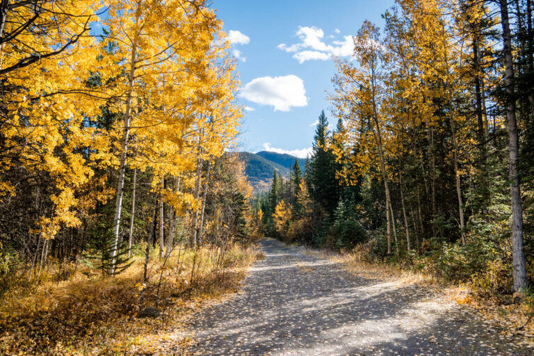 15 Kananaskis Fall Hikes (That Aren't Larch Hikes) - Travel Banff Canada