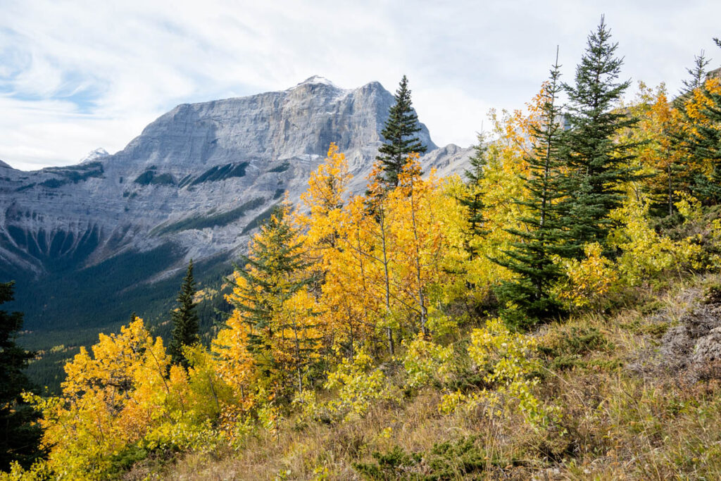 15 Kananaskis Fall Hikes (That Aren't Larch Hikes) - Travel Banff Canada
